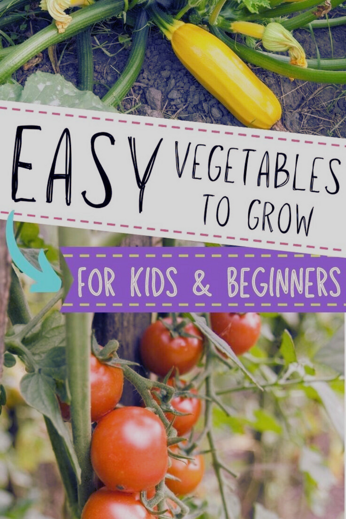 7 Easiest Vegetables to Grow for an Abundant Harvest – Srk Garden